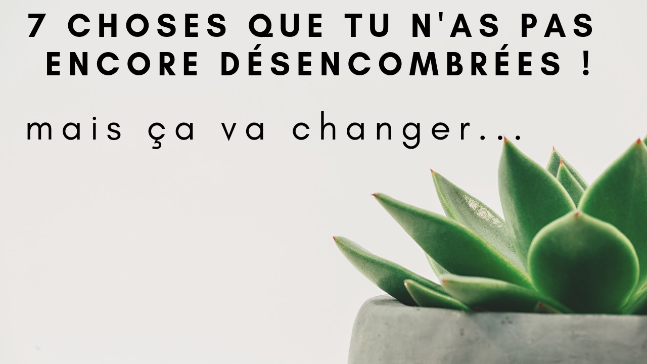 7 Choses Que Tu Nas Pas Encore Désencombrées The Flonicles